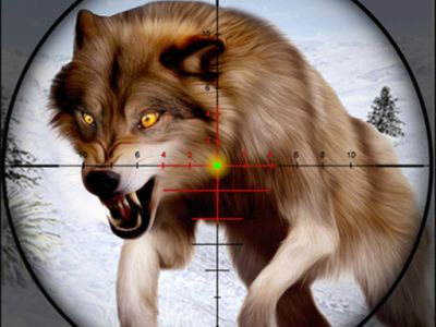 Fox Hunting Sniper Shooting - Play Online Games Free