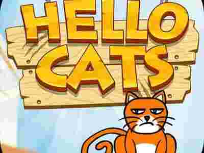 Hello Cats - Play Online Games Free