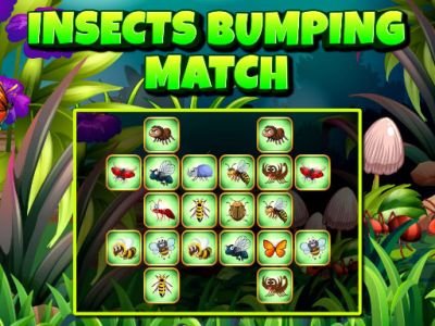 Insects Bumping Match - Play Online Games Free