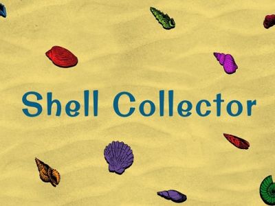 Shell Collector - Play Online Games Free